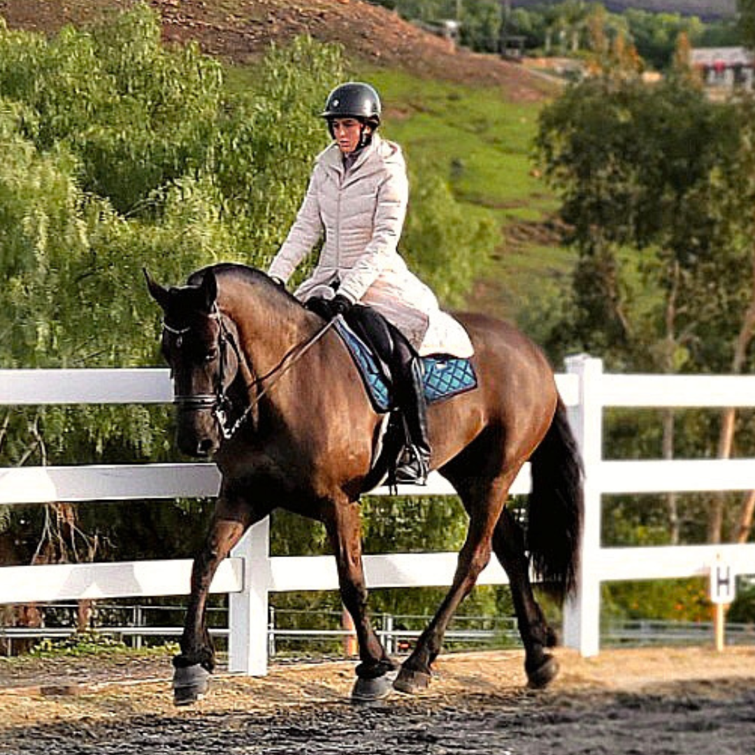 Look Book – Dressage Queen Dream